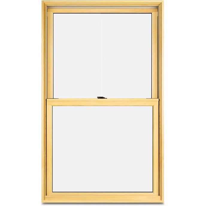 Marvin Elevate New Construction Double hung Window - Grand Banks Building Products
